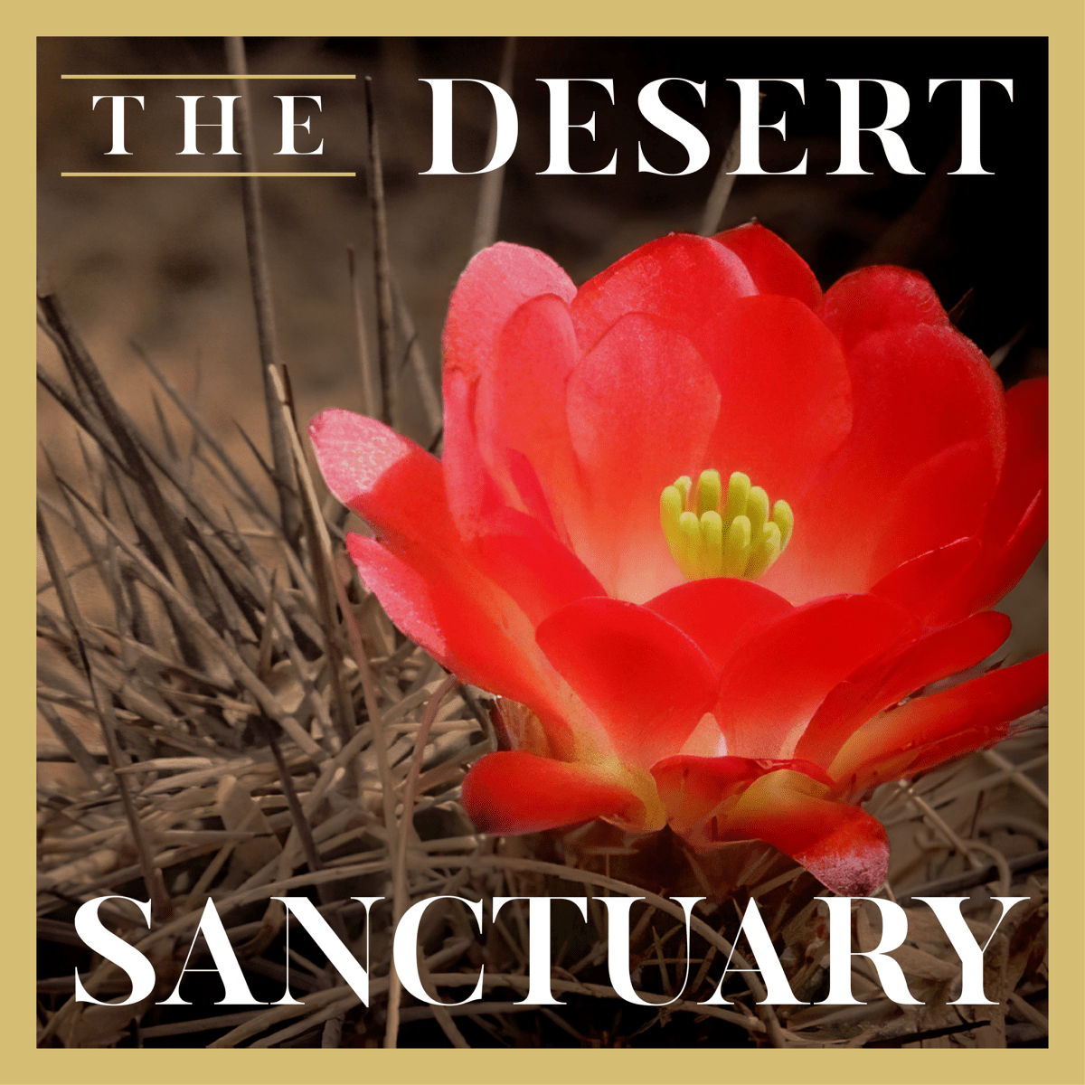 Home – The Desert Sanctuary
