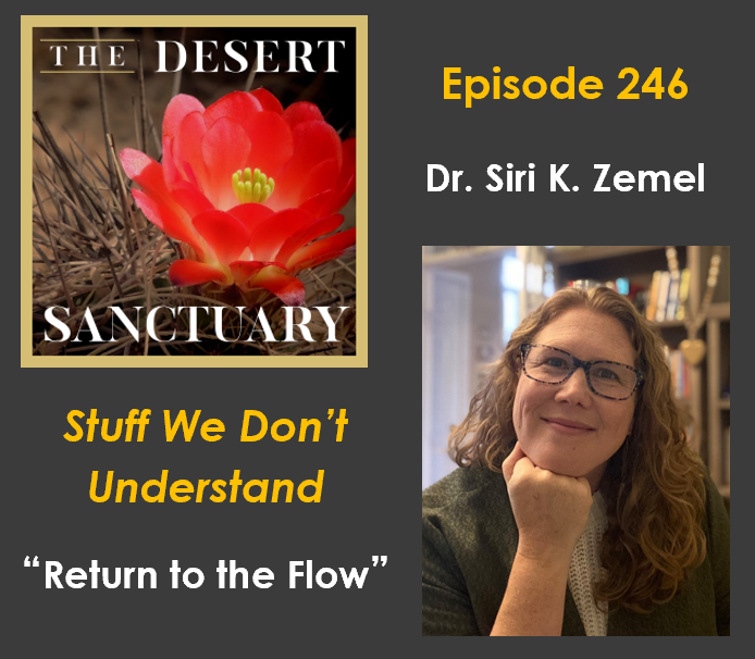 246 – Dr. Siri K. Zemel – Return to the Flow – The Desert Sanctuary