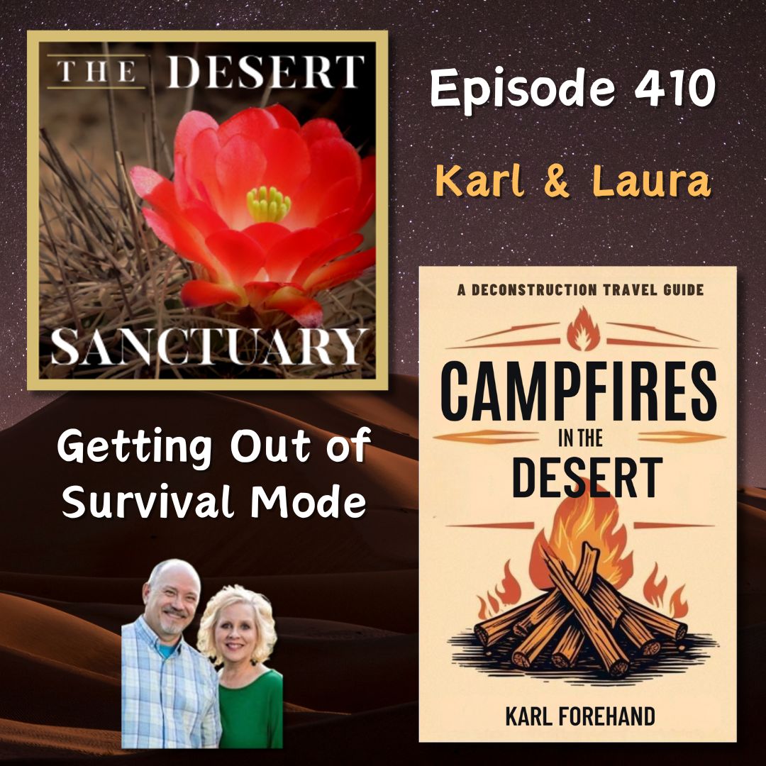 410 – Getting Out of Survival Mode – The Desert Sanctuary